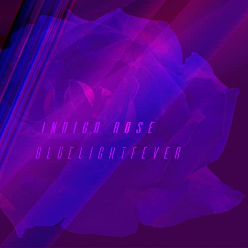 Indigo Rose – Die 15 besten Produkte im Vergleich & Angebote - aktualisiert: August 2025