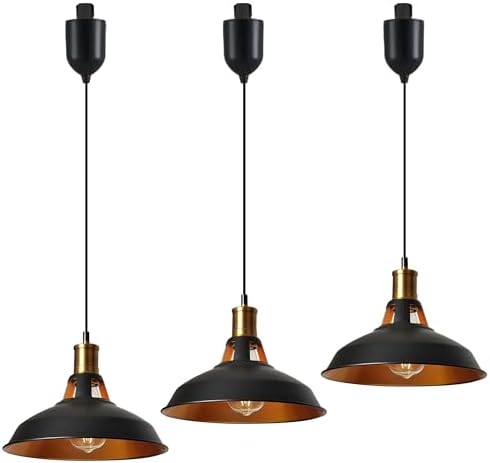 SKIVTGLAMP Adjustable Height Juno Track Lighting Pendants, 4 Ft Cord, J ...