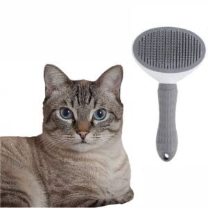 Amazon.com : Cat Hair Brush - Super Soft, Cat Brushes Best Choice Comb ...