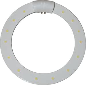 Amazon.com : LED Daylight 5600K Spot 1000 Lighting Kit, Black : Electronics