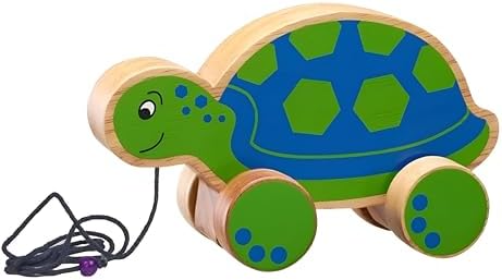 Buy Channapatna Toys Premium Pull Along Toy Wooden Turtle for 12 Months ...