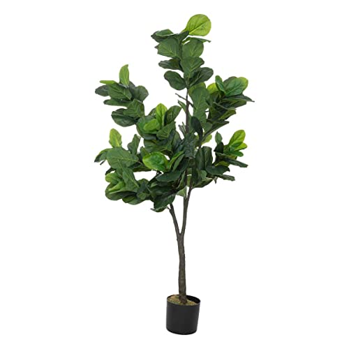 Macetas para ficus: las mejores opciones para lucir tus plantas de interior