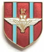Paratroops Paras Parachute Regiment British Military Enamel Lapel Pin ...