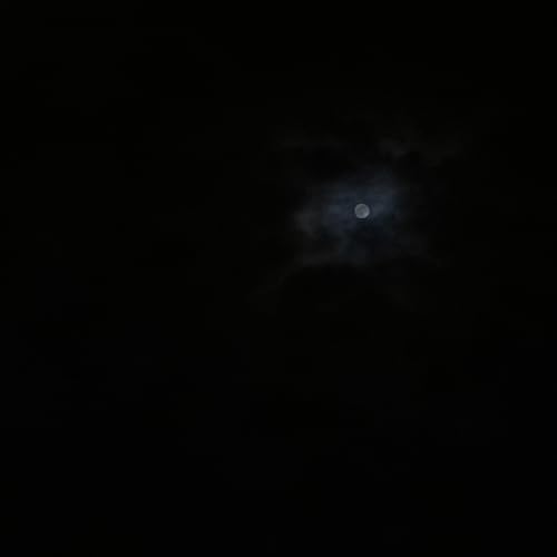 moonlight by not sasha on Amazon Music Unlimited