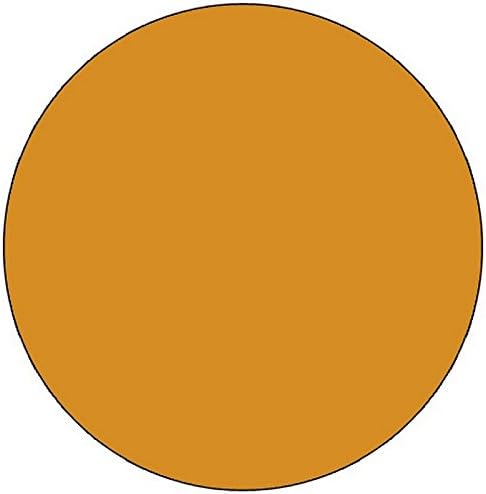 Amazon.com: 3" Diameter Fluorescent Orange Circle Labels (500 per Roll ...
