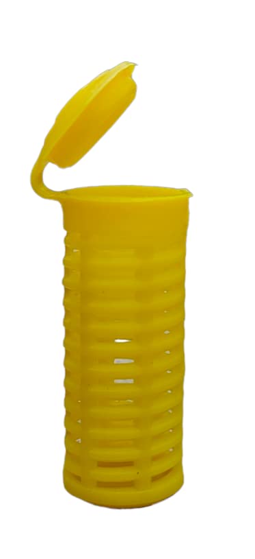 RAHBAN Plastic Queen Bee Cage - Yellow color (Pack of 20) - Safety Cage ...