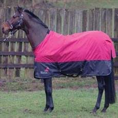 Amazon.com : Masta Avante 340 Standard Turnout Rug-Cerise/Graphite 7'0 ...