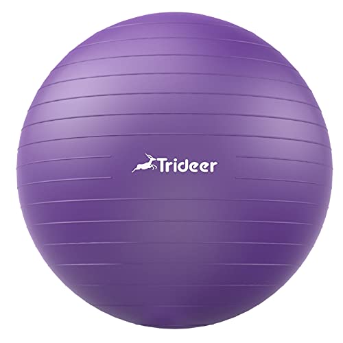 Snapklik.com : Trideer Yoga Ball - Exercise Ball For Workout Pilates ...