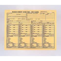 Amazon.com: Nasco's Beef Cow Record Cards - C12428N : Patio, Lawn & Garden