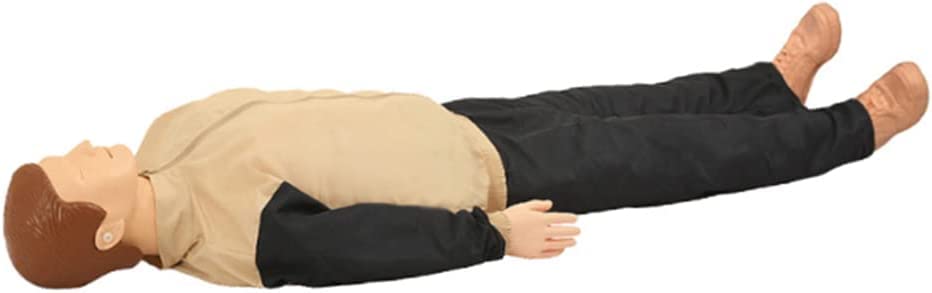 Buy Skeleton Model First Aid Resuscitation Manikins, Professional ...