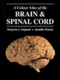 A Colour Atlas of the Brain and Spinal Cord: 9780801662881: Medicine ...