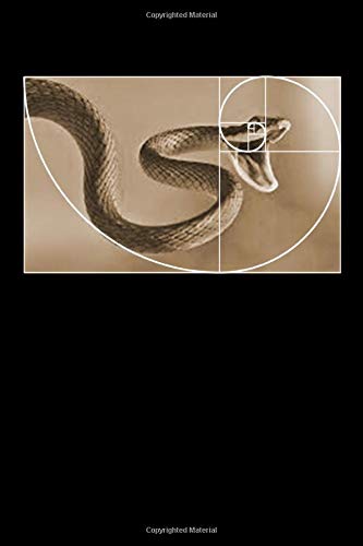 Fibonacci Snake: Graph Notebook | Funny Math Humor Fibonacci Pi Day ...