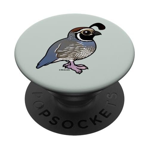 Meet the Cute & Charming California Quail | Birdorable Birds