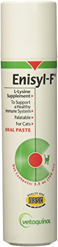 6 Packs Enisyl-F Oral Paste for Cats 600 ml (6 x 100 ml) (B00171RS6U ...
