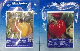 CAPSICUM SEEDS PACKET RED AND YELLOW COMBO : Amazon.in: Garden & Outdoors