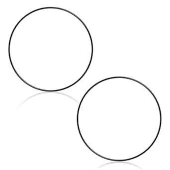 Amazon.com: CXFHR1001 / RGX45G O-Ring for Hayward SwimClear C100S ...