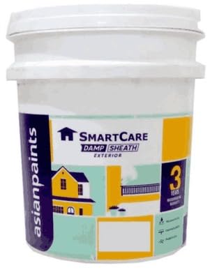 Asian Paint Samrtcare Damp Sheath Damp Proof Exterior Primer (10 Liters ...
