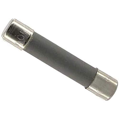 Bussmann, ABC-5-R, Fast-Acting Ceramic Tube Fuse 5A (10 Pack): Amazon ...