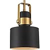 Possini Euro Design Courtney Burnished Brass Mini Pendant Lighting 6 1/ ...