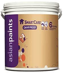 Asian Paints SmartCare Damp Proof - Waterproofing & Damp Protection ...