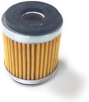OIL FILTER R15 V1/V2/V3/MT : Amazon.in: Car & Motorbike