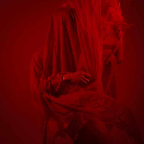 Amazon.co.jp: Sometimes They Look At You [Explicit] : Maria Uzor ...