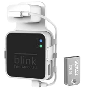 256GB Blink USB Flash Drive and Blink Sync Module 2 Mount, No-Drilling ...