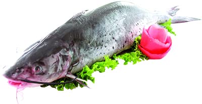 Amazon.com: Whole Catfish : Grocery & Gourmet Food