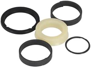 Amazon.com: All States Ag Parts Parts A.S.A.P. Hydraulic Seal Kit ...