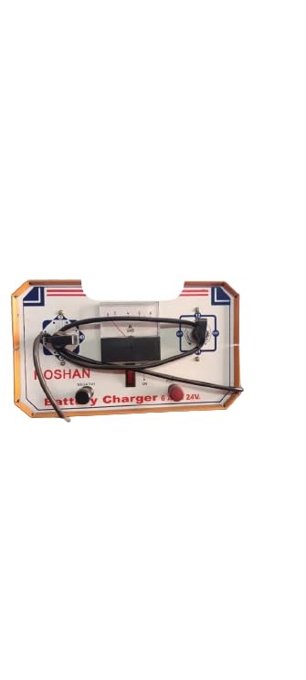 Roshan 24V 6A Battery Charger for Specific Applications : Amazon.in ...
