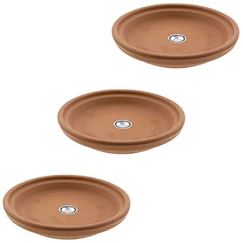 Maceta de barro rectangular: la opción ideal para tus plantas de ...