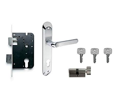 Godrej Mortise Handle Set (DC 6696 PO PC 200 NEH 10 1CK SS) : Amazon.in ...
