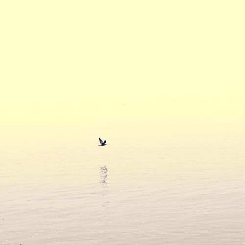 Amazon.co.jp: Songs About Love & Change : Christopher Taranto: デジタルミュージック