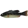 Amazon.com: Enxee 3pcs Simulated Fish Model, Lifelike Pretend Play Fish ...