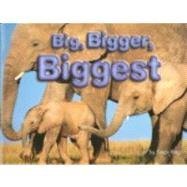Big, Bigger, Biggest, Math Grades K-1: Steck-Vaughn: 9780739858547 ...