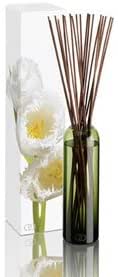 Amazon.com: Dayna Decker Botanika Diffuser - Leila : Health & Household