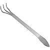 Amazon.com : Bonsai Rake Lightweight 3-Prong Stainless Steel Root Rake ...