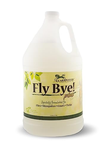 Wave Goodbye to Pesky Flies with our Top 10 Products: Fly Bye Bye ...