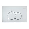 Buy JAQUAR Control Flush Plate Opal 152415 Online at Low Prices in ...