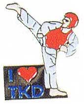 Amazon.com: I Love TKD Pin : Sports & Outdoors
