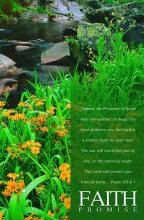 Faith Promise: unknown author: 9780805457971: Amazon.com: Books