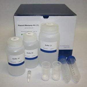 Amazon.com: Plasmid maxiprep kit (25 preps) : Industrial & Scientific