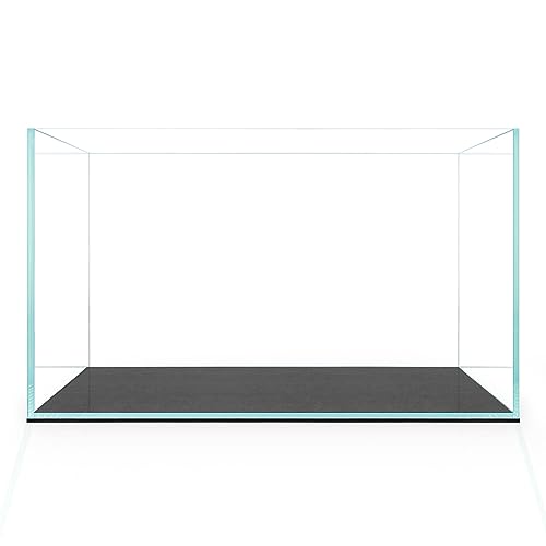 10 best rimless fish tanks for a stunning 20-gallon aquatic display ...