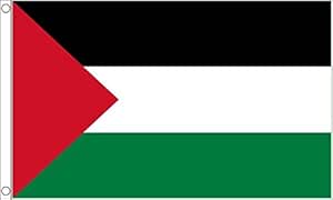 Palestine Large Flag 8ft x 5ft: Buy Online at Best Price in UAE - Amazon.ae