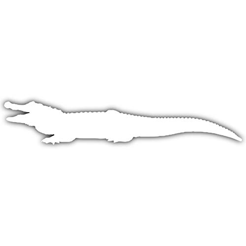 Amazon.com: Crocodile Decal, Crocodile, Reptile, Waterproof Decal, Gift ...