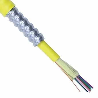Amazon.com: CP0124552901-AIAP 12-Strand Indoor Singlemode Armored ...