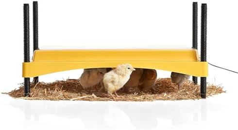 Myshire Farm Quality Quail's Amazon Page
