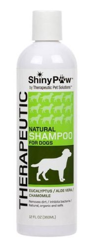 Amazon.com: Shiny Paw All-Natural Therapeutic Shampoo for Dogs - 12 oz ...