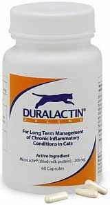Duralactin Feline 200 MG (60 Tabs) (60 Capsules) : Amazon.fr: Hygiène ...