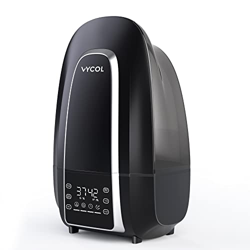 Best Humidifiers Canada – Best Cost